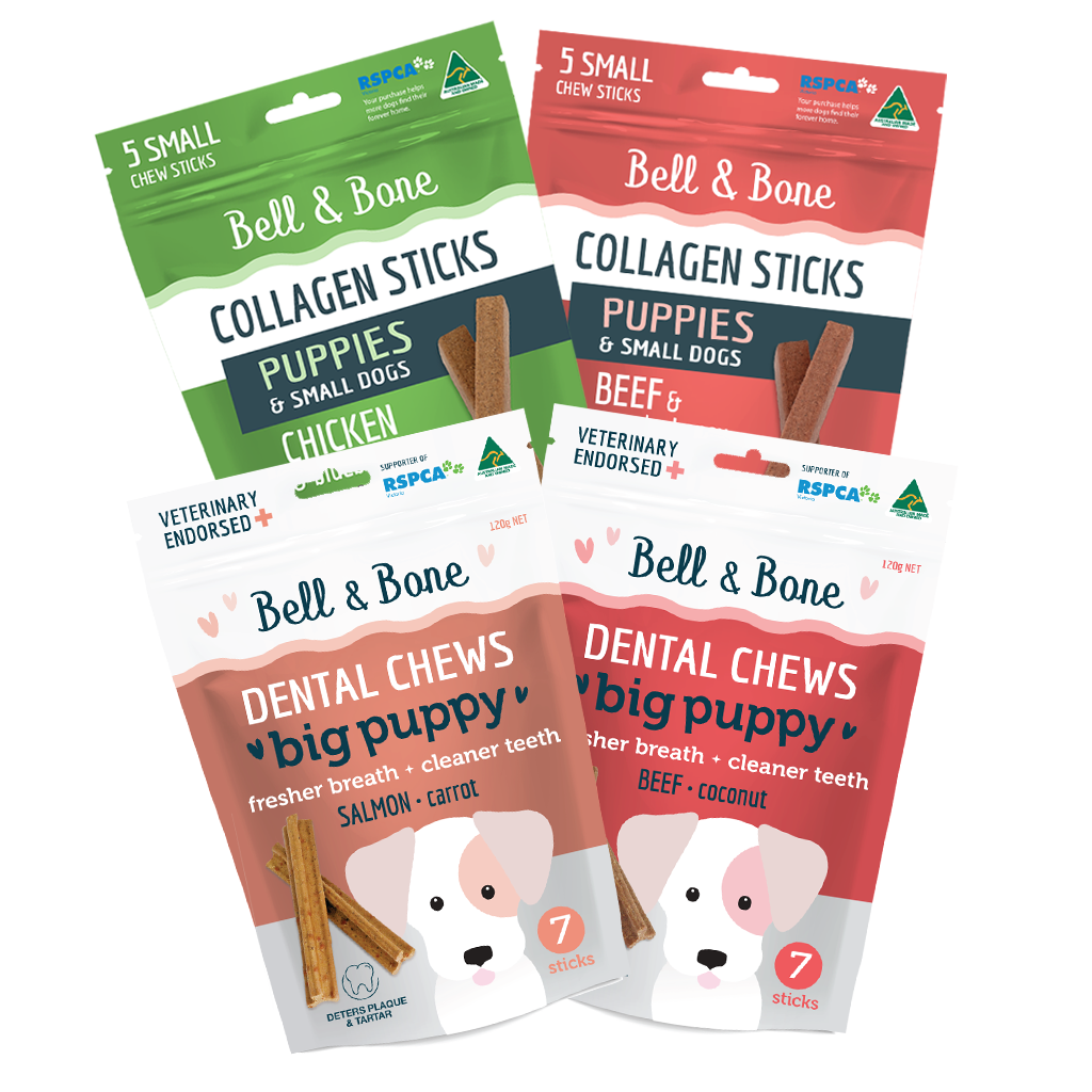 Dental Health for Dogs Bundle | Dental Treats 5 Pack | Bell & Bone – Bell and Bone