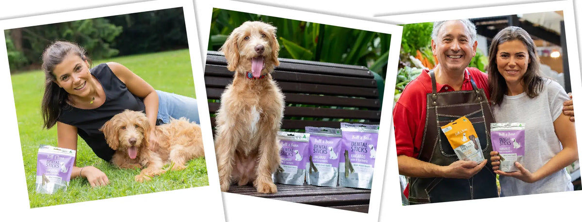 6 Years of Bell & Bone: Our Journey Together in Healthy, Natural, Effe ...