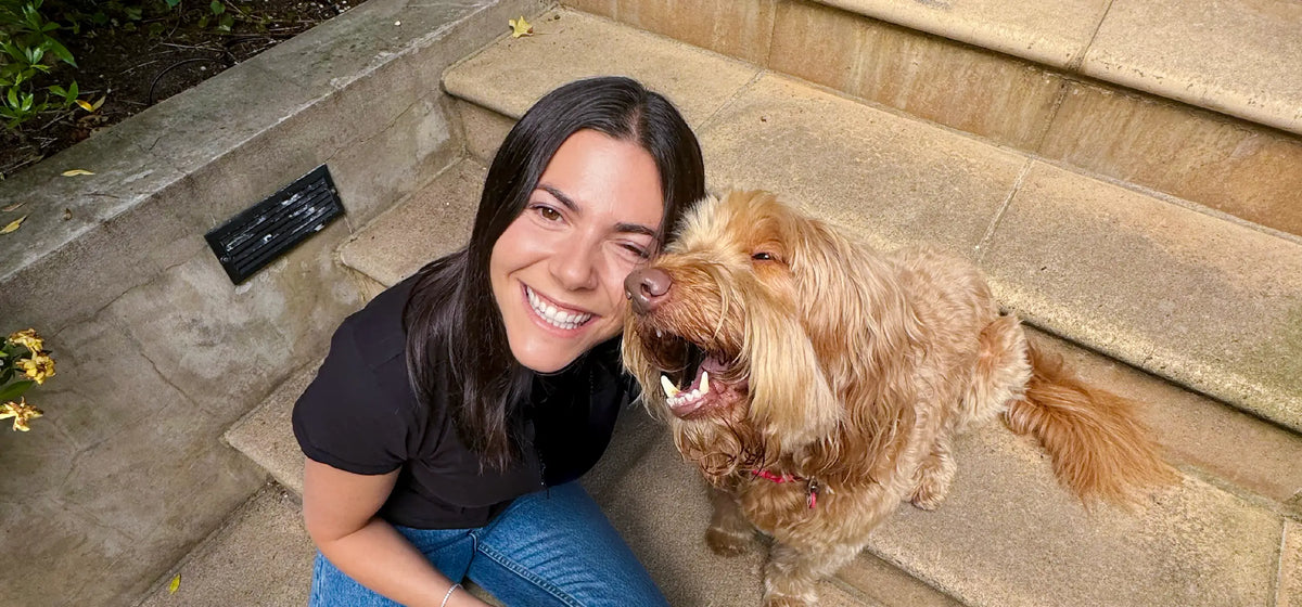 Caring for Your Dog as They Grow Older: Common Changes to Look For and ...