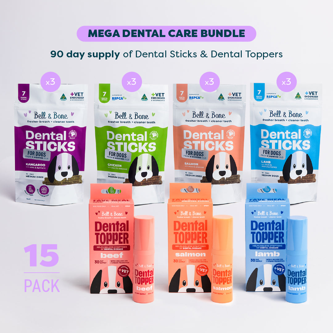Perfect Dental Care Solution Bundle for dogs | Dental Sticks and Dental ...